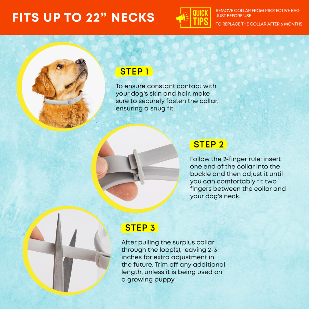 Dog Flea Tick Prevention Collar: Effective Flea Collar and Prevention ...