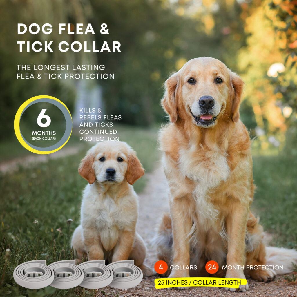 Dog Flea Tick Prevention Collar: Effective Flea Collar and Prevention ...